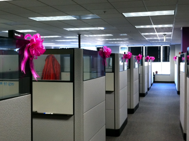 The Pink Bow Campaign – Raising funds and awareness for breast cancer ...