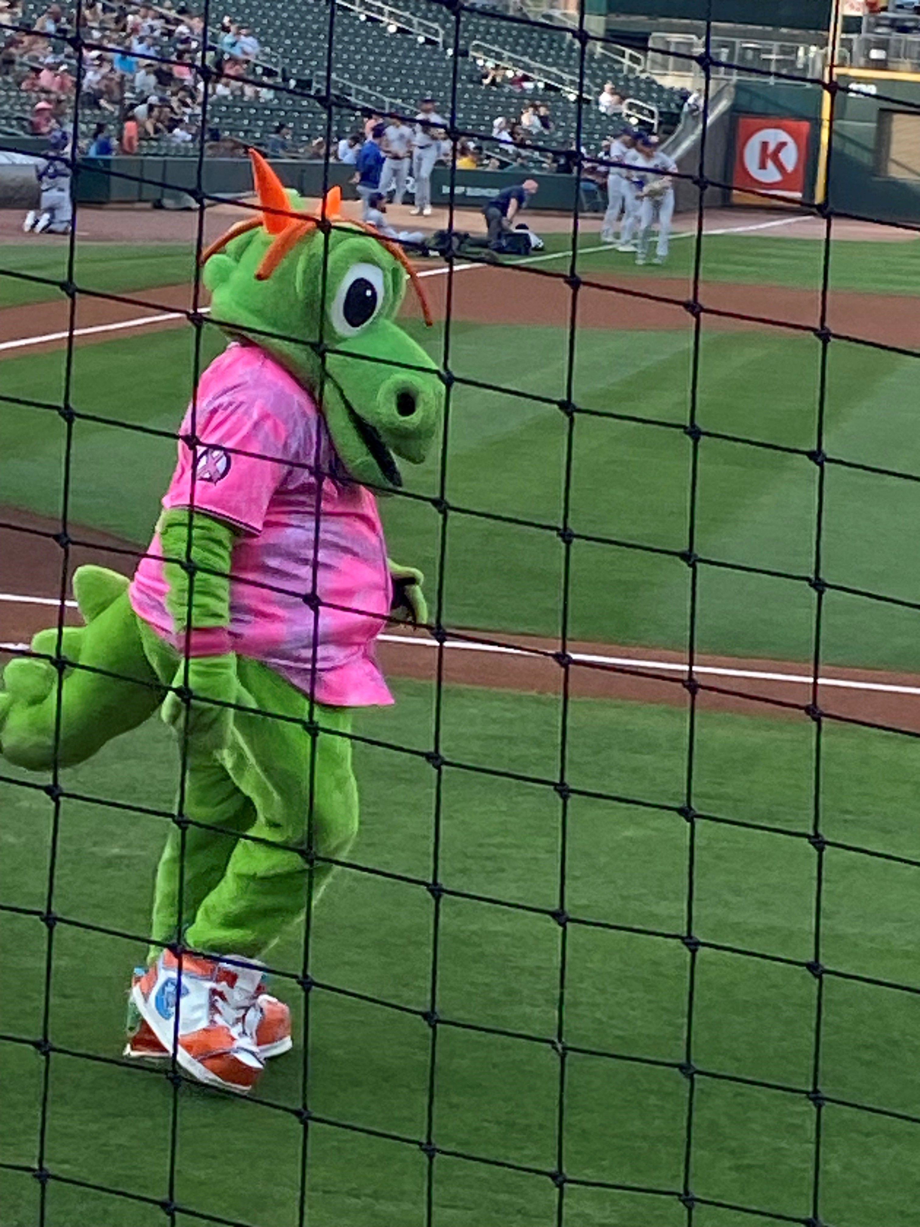 The Pink Knights Game – The Pink Bow Campaign